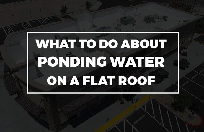 Ponding Water on a Flat Roof: What to Do